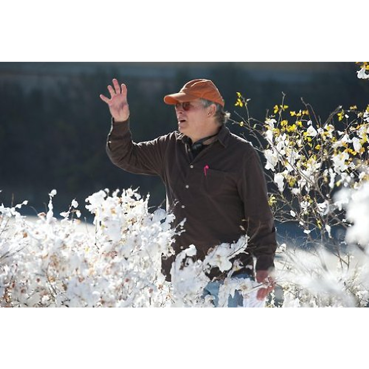 Darling Companion [Blu-ray]