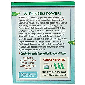 Ayurvedic Herbal Toothpaste in a Jar, Fresh Mint (4.16 oz) (Pack of 1 (4.16 oz))