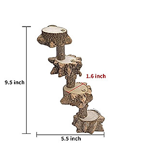 Luonfels Bird Platform Perch Playground for Budgie Parakeet, Cage Natural Wood Play Stand Parrot Flat Perches for Large Birds, Birdcage Ladder Climbing Toy 4 Step