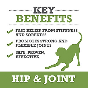 WINPRO | Dog Hip and Joint Supplement, Plasma-Powered Chews for Joint Support in Dogs of All Breeds and Sizes, Fast Acting with Collagen, 60 Count, Made in USA