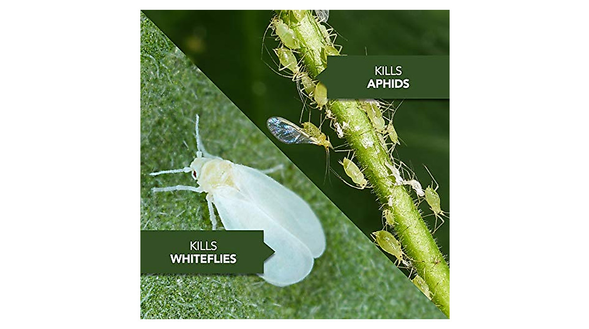 BioAdvanced Insect Control Spikes for Healthy Plants