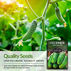 Survival Garden Seeds - Spacemaster Cucumber Seed for Planting - Packet with Instructions to Plant and Grow Container Friendly Cucumbers in Your Home Vegetable Garden - Non-GMO Heirloom Variety