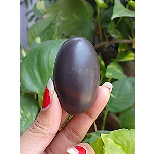 M FRANCISCO Natural Shaligram Hindu Pooja Shivlingam, Shiva, Shivling Small Beautiful Healing Stones Meditation Energy India Meditation Metaphysical Sacred Hindu Valley