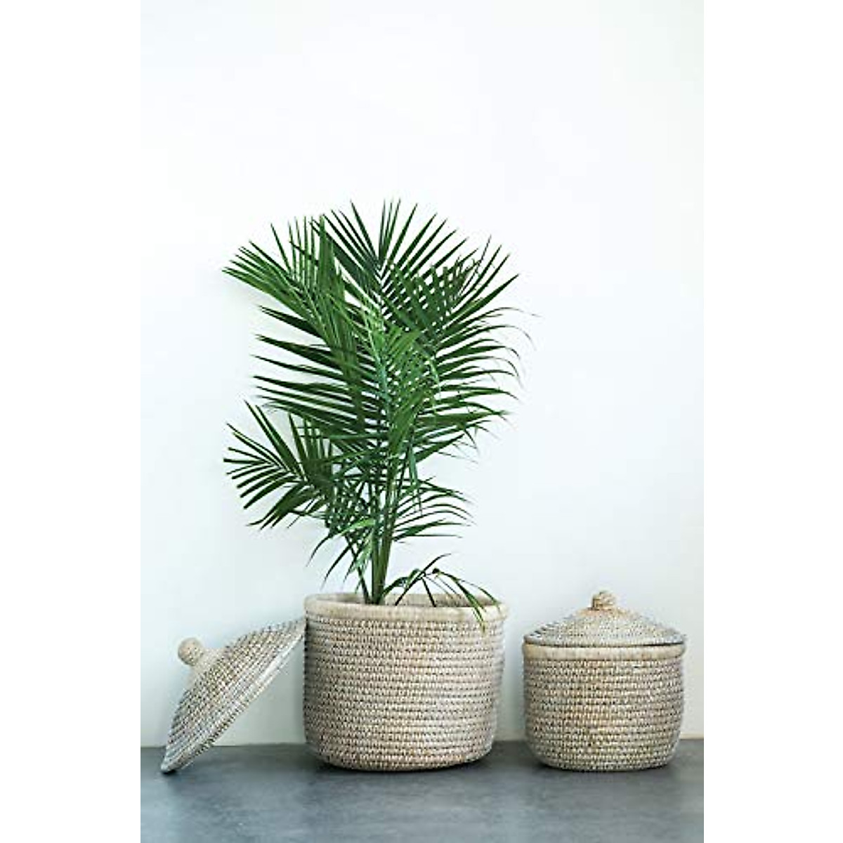 Creative Co-Op Whitewashed Woven Lids (Set of 2 Sizes) Baskets, White