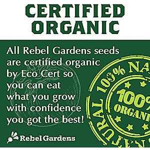 Kitchen Garden Seed Collection - Certified Organic Herb & Vegetable Seeds - 14 Varieties of Non-GMO, Heirloom, Home Garden Seeds for Planting - Basil, Tomato, Spinach, Cilantro, & More