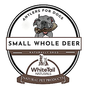 WhiteTail Naturals - Antlers for Small Dogs (6 Pack) Deer Antler Dog Chew Bones for Small to Medium Aggressive Chewers - Long Lasting Horn Chew Toys - Naturally Shed