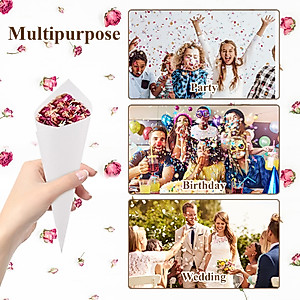 Bekecidi 30 Pieces biodegradable confetti Cones and Stand Tray Paper Cone Box 30 Holes Suitable Placing Dried Flower Petals Confetti for Wedding, Engagement, Party, Birthday (White)