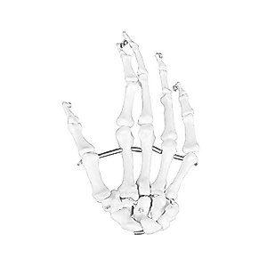 Vision Scientific VAS220-CC0 Life Size, Total Disarticulated Skeleton | Bones & Osteological Features Numbered for Identification | 3-Part Skull | Key to Numbered Structures W Manual & Carrying Case