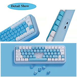 60% Wireless Gaming Keyboard,Rechargeable RGB Backlit Keyboard with Hand Rest,2.4G USB Connection,Compact 63-Key Quiet Computer Office Keyboards for PC Windows Desktop Laptop Mac Smart TV Box (Blue)
