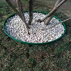 Wgwioo Plastic Lawn Edging Coil Roll, Landscape Terrace Board, Stones Fences Paths Gravel Grass Barrier,Green,10cm x 2m