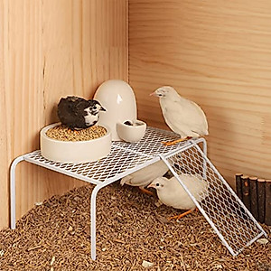 Zerodeko Chick Perch Chick Toys Chicken Coop Rest Platform Coop Brooder Roosting Bed Chicken Wooden Jungle for Large Birds Hens Parrots Macaw Cage