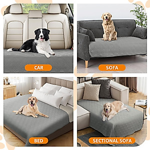 LOOBANI Waterproof Dog Blanket, Anti-Slip Bed Couch Covers for Dogs, 2 Pack Soft Pet Blankets to Protect Furniture Sofa Car for Puppy Cat Kids, 82×102in, Light Gray