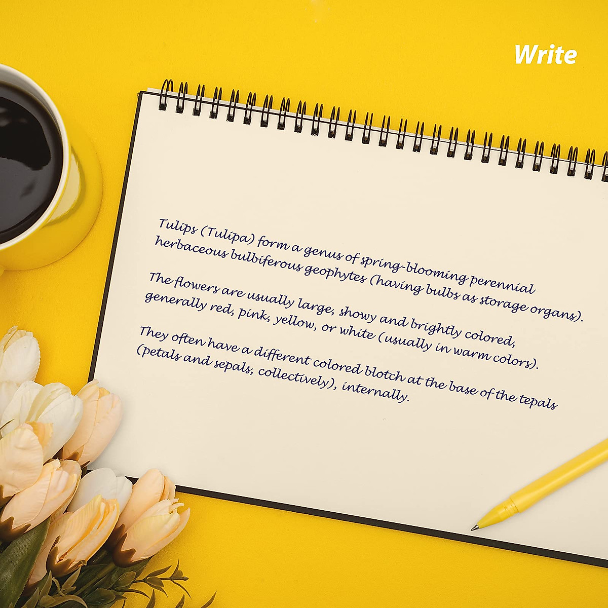 LABUK 2 Pack A5 Spiral Notebook 100 Pages Blank Sketchbook Pad Unlined Notebooks Soft Cover Kraft Journal 8.3"x 5.5" Memo Notepads Diary Planner, 50 Sheets for School Office Travel (Black)