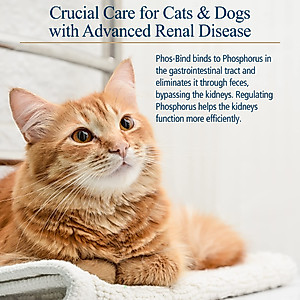 Rx Vitamins Phos-Bind - Kidney Support Supplement Powder - Phosphate Binder for Cats & Dogs for Kidney Health - Supports Normal Kidney Cleanse and Essential Kidney Care - 35g