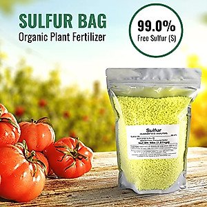 DL Wholesale Sulfur Bag 4lb Organic Plant Fertilizer, Garden Planting Soil Food for Vegetable Garden, Succulents, OMRI Certified