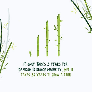 NooTrees Bamboo Toilet Tissue, Tree Free, 100% Biodegradable, Sustainable, Renewable and FSC Certified 3-ply Toilet Paper, 220 Sheets, 12 Rolls, Pack of 1