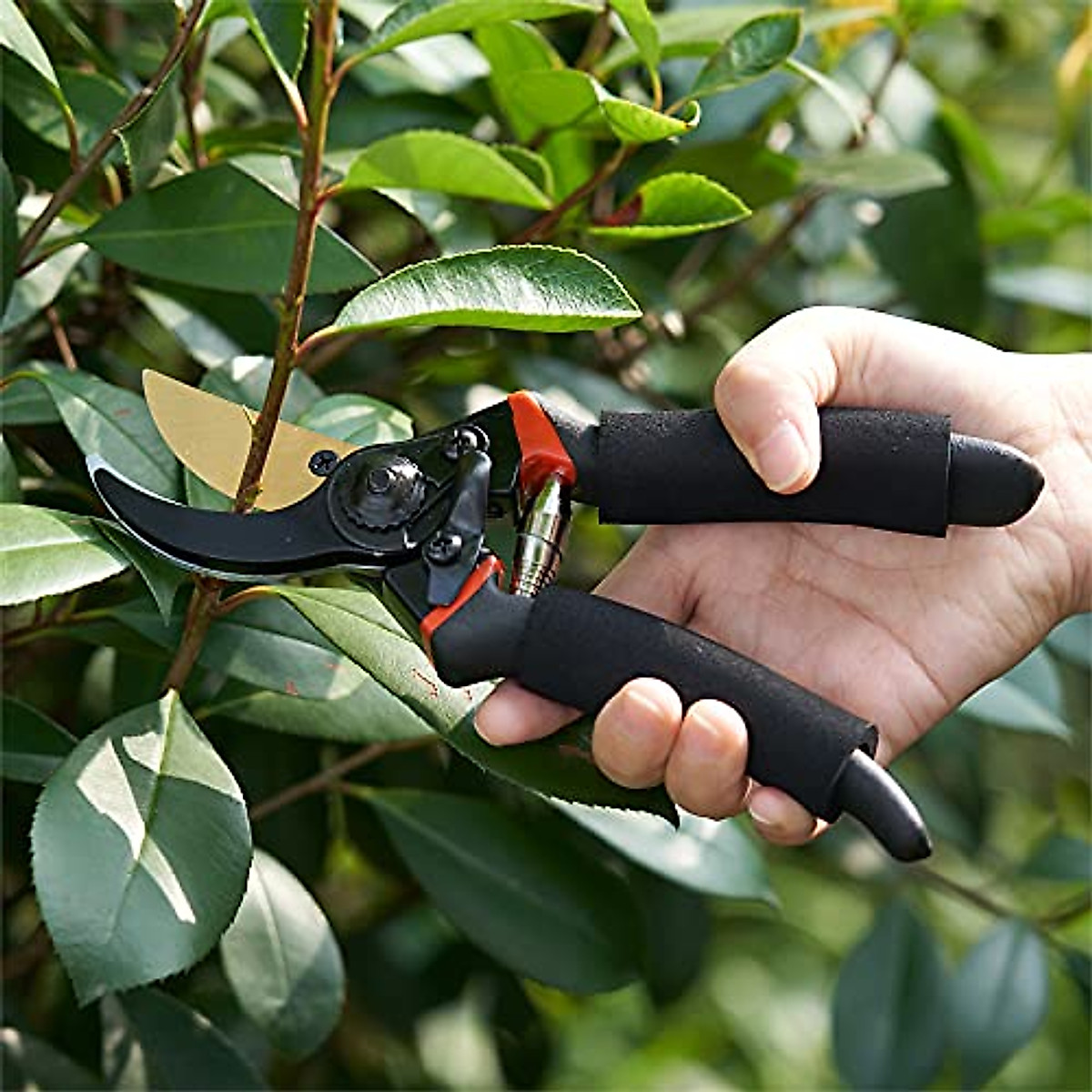 8" Professional pruners for tree trimming，rose snips，rose cutters tools，gardening shears，garden shears，Bypass Pruning Shears，Hand Pruners