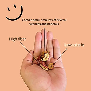 PETIVORE Premium Dried Jujubes for Sugar Glider and Small Exotic Pet - Happy Treats, Snacks and Food (20g)