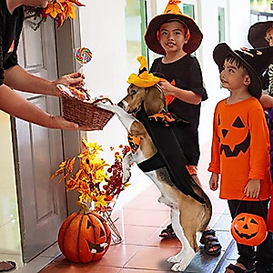 Halloween Pet Costumes, Dog Bat Wings Costume with Hat and Bandana Cosplay Party Decoration Costume Puppy Bat Dress Up Funny Cool Apparel for Small Medium Large Dogs Cats