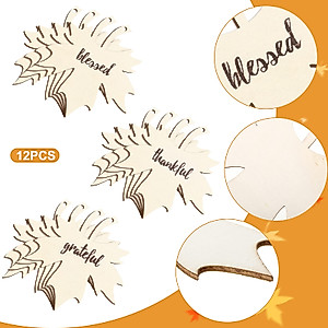 Bucherry 12 Pieces Fall Thanksgiving Place Cutout Thankful Grateful Blessed Place Cards Thankful Rustic Wooden Sign Hanging Ornament Table Setting Decorations