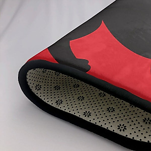 Rastafarian Flag with Lion Judah Area Rugs Floor Carpet Doormat Floor Mat Entrance Rug Throw Rugs Carpet for Front Door Living Room Kitchen Bedroom Garden 36"x24" Inch