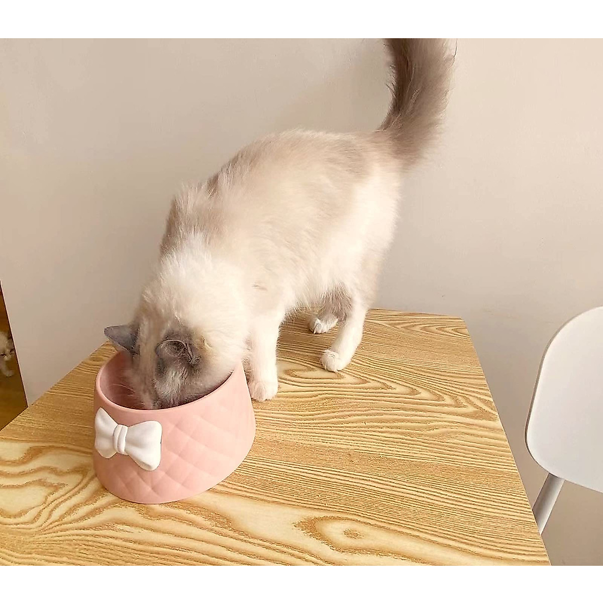 Kattypet Katty Pet Cheap Affordable Bowl with Bow Cat Food Bowls Base Dog Bowl, Pet Feeding Station Base Bowl of Premium Quality Pets Bowl for Mini Small Medium Puppy