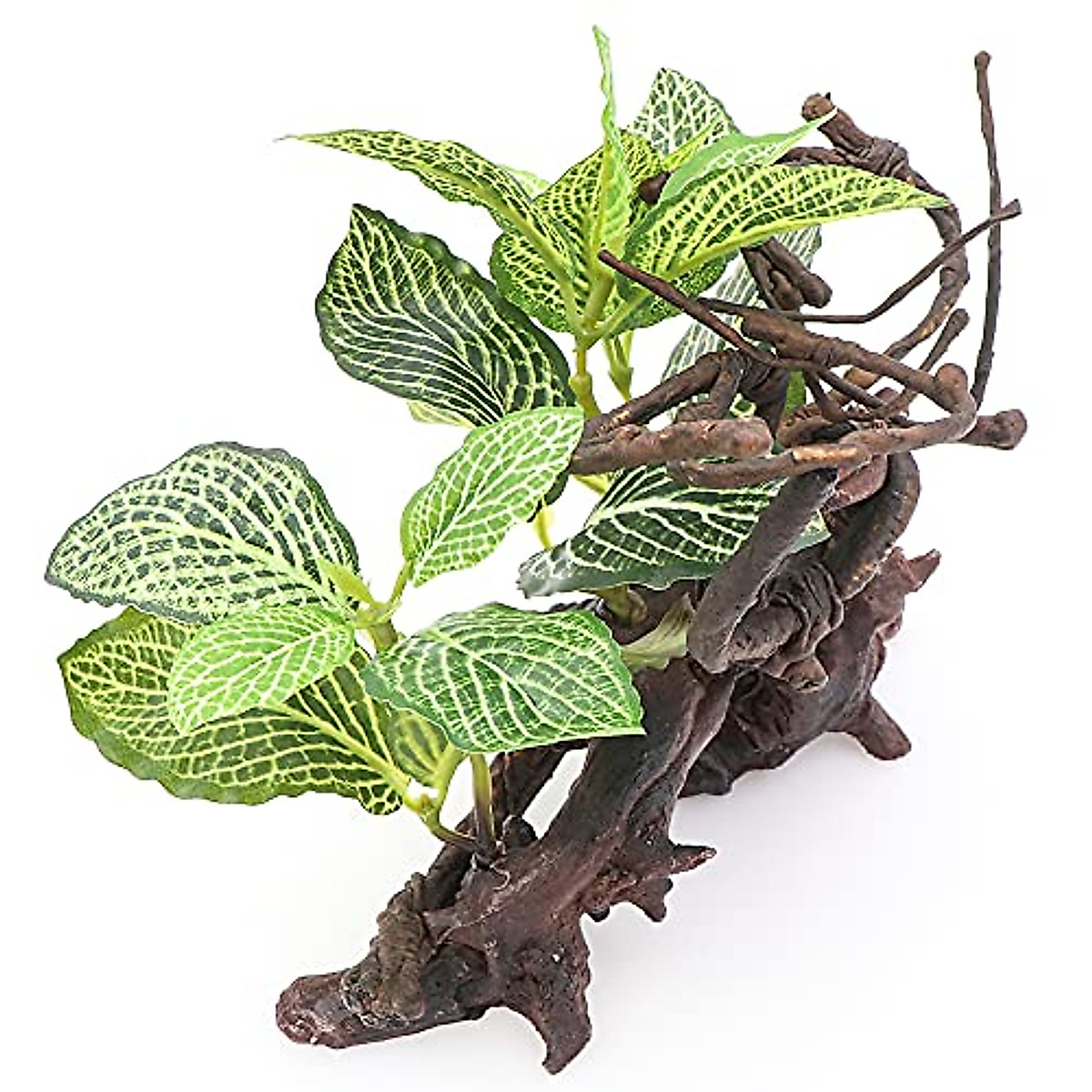 HRRIVE Reptile Rain Forest Ground Plants Decorations for Lizard Snake Bearded Dragon Crested Gecko Amphibian and Terrarium Habitat Decor