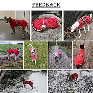 Greyhound Winter Coat, Whippet Coat with Padded Fleece Lining, Water Resistant Dog Jacket with Adjustable Bands and Reflective - Pink - XSmall