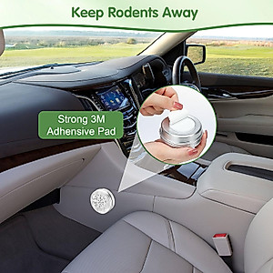 4 Pack Rodent Repellent, Peppermint Oil Evolute Formula for Rat and Mouse Use, Safe for Humans and Pets, Effective Repellent for Home, Car, Underhood, Garage, Indoor and Outdoor…