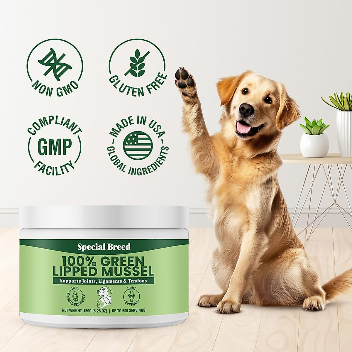 Green Lipped Mussels for Dogs & Cats - Premium Joint Supplement Powder for HIPS, Joints, and Muscles (150 Grams, Up to 500 Servings)