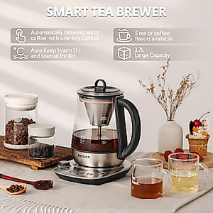 BUYDEEM K176 Tea Maker, Multifunctional Stainless Steel Electric Kettle for Tea and Coffee Brewing, Auto Keep Warm, German Schott Glass, 1.5L