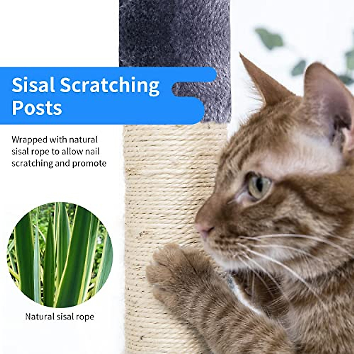 BestPet 36 inches Cat Tree for Indoor Cats Cat Tower with Scratching Posts Multi-Level Cat Furniture Condo with Ramp, Perch Spacious Cat Cave & Funny Toys for Kittens House,Dark Grey