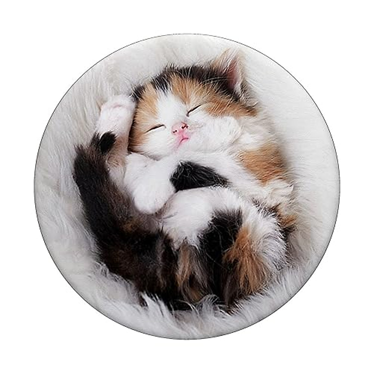 Kitty Cute Nap Cat Sleeping Kitten PopSockets PopGrip: Swappable Grip for Phones & Tablets PopSockets Standard PopGrip