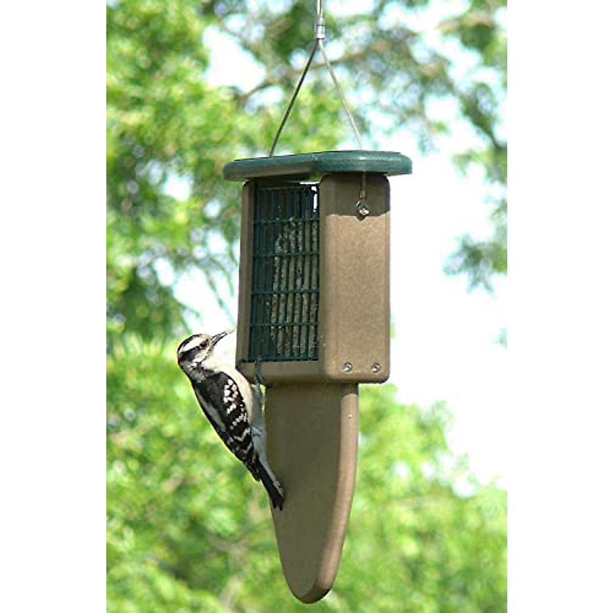 Kettle Moraine Recycled Plastic Single Suet Cake Tail Prop Suet Bird Feeder with Hanging Cable