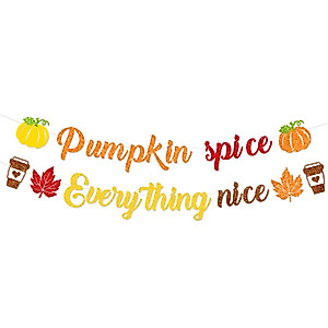 Pumpkin Spice and Everything Nice Banner Decor, Inspirational Autumn Sign, Autumn Fall Bulletin Board Decorations for Thanksgiving, Fall Party Decorations for Home Mantle Fireplace,Fall Harvest Banner
