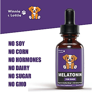 Dog Melatonin | Melatonin for Dogs | Dog Sleep Aid | Sleep Aid for Dogs | Melatonin for Dogs Sleep | Dog Calming | Calming for Dogs | Dog Calming Treats | Dog Anxiety Relief | 1 fl oz: Bacon Flavor