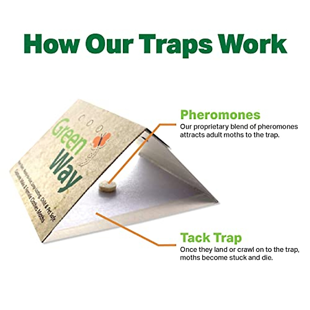 Greenway Clothing Moth Traps (12 Traps) - Moth Traps for Clothes Closets - Alternative to Cedar Balls and Moth Balls for Closet - Pheromone Attractant & Eco Friendly