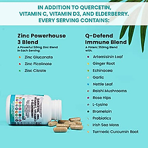 Quercetin 1000mg Zinc 50mg Vitamin C 1000mg Vitamin D 5000 IU Bromelain Elderberry - Lung Immune Defense Support Supplement Adults with Artemisinin, Sea Moss, Echinacea, Garlic Immunity Allergy Relief