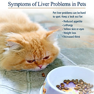 Rx Vitamins Hepato Support for Dogs & Cats - Milk Thistle Supplement for Pets - 100mg Milk Thistle for Healthy Liver Function - Silymarin Capsules for Pets - 90 ct.