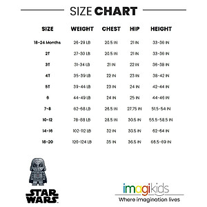 STAR WARS The Mandalorian Grogu Big Boys Fleece Pullover Hoodie Gray 10-12