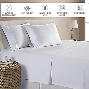 100% Egyption Cotton Full Size Solid Sheet Set & Striped Sheets Set of 2 Combo- 800 Thread Count Sateen Weave Full Size Solid Sheets & Striped Sheets, Deep Pocket Cotton Bedsheets - Taupe