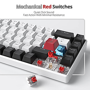 Ussixchare 60 Percent Gaming Keyboard 68 Keys Mechanical Keyboard LED Backlit Compact Wired Keyboard with Red Switch for Windows PS4/5 Xbox Gamer(Black-White)
