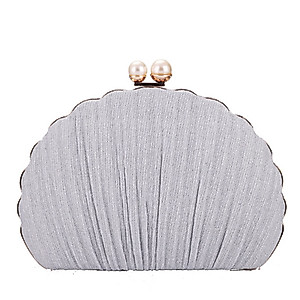 Felice Ann Women Mini Seashell Evening Bag Clutch Handbag Chain Strap Cross-body Shoulder Bag, Pleated Silver