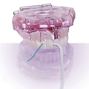 ProxySoft Periodontal Floss, 1 Pack - Dental Floss Threader, Braces Floss and Thick ProxyBrush for Daily Care of Periodontal Disease and Gum Health - Orthodontic Flossers for Braces and Teeth