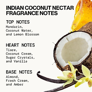 Pacifica Beauty, Wanderlust Spray Perfume Trial Set, Featuring Island Vanilla Mini, 5 Scents, Fragrance Sampler Gift Set, Natural + Essential Oils, Clean, Vegan + Cruelty Free