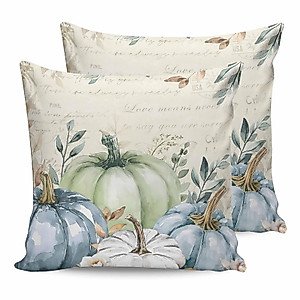 MUSWEDSEP Outdoor Pillow Covers Pack of 2,Fall Thanksgiving Pumpkin Green Blue Farm Plants Waterproof Throw Pillow Cover Decorative Cushion Case for Patio Garden Couch Sofa,Retro Letter Pillowcase