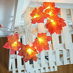 LIUPENGWEI Christmas String Lights, 3M, 20 LED Fairy Lights Theme Maple String Lights Home Decoration Fall Garden Garden Ghost Light