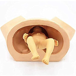 WFZY Demonstration Female Childbirth Manikin Advanced Midwifery Training Model Obstetrics and Gynecology Delivery Maternity Simulator for Nursing Medical Teaching