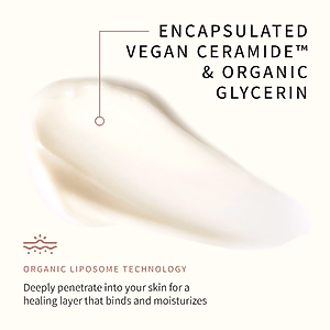 PURE'AM Authentic Barrier Cream - Korean Moisturizer For Dry & Sensitive Skin & Acne, 2.5 Fl Oz, 75ml, Vegan