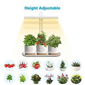 GoGrow LED Plant Light for Indoor Plants, New Generation Desk Grow Light with Timer, Grow Lamp Full Spectrum UV Grow Lights